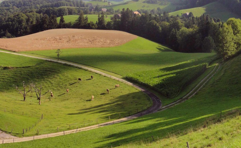 Erickson – Cycling the Best of Europe